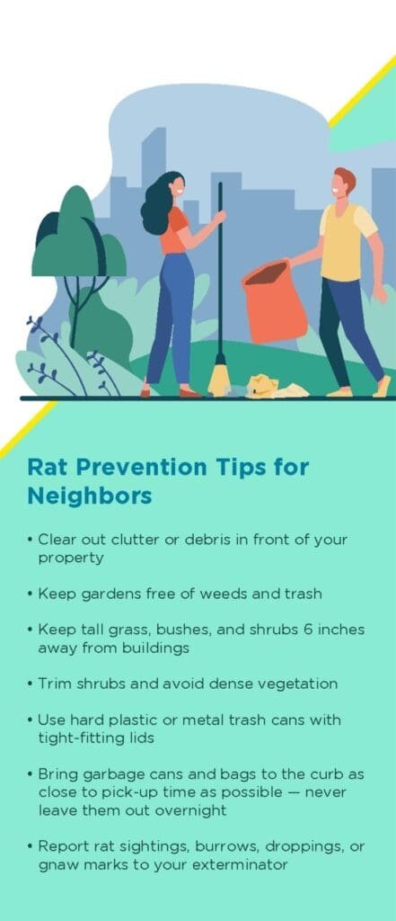 Outdoor Rat Control Pamphlet for NYC Landlords & Tenants (PDF)