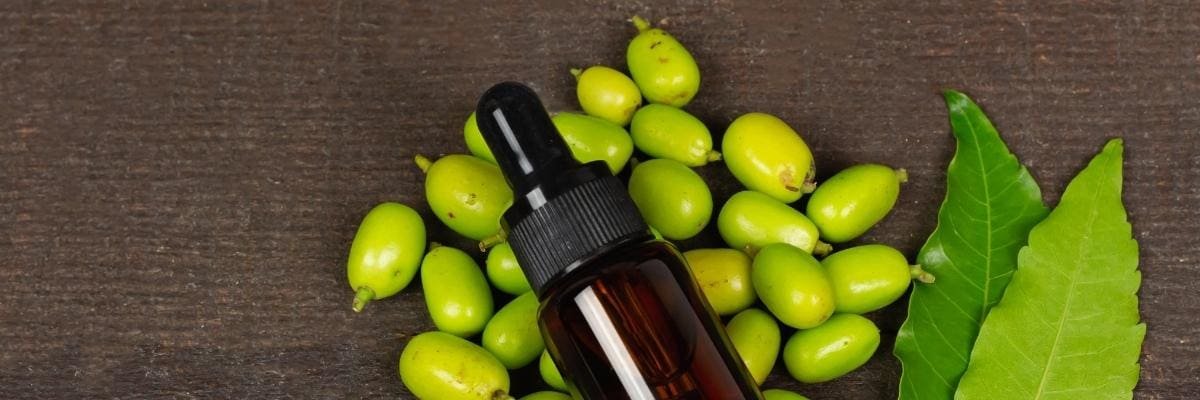 Home Remedies for Termites